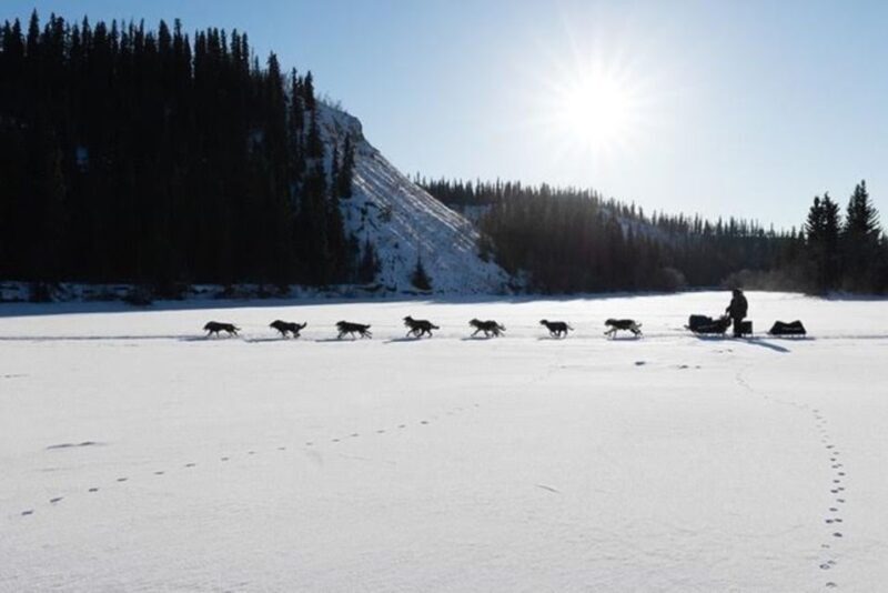 Palmer: "Dogs and Glaciers" Sledding and Helicopter Tour - Final Words