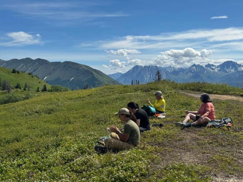 Palmer Hidden Waterfalls Guided Backcountry Hike - What the Reviews Say