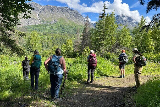 Palmer's Hidden Waterfalls: Full Day Hike - The Sum Up