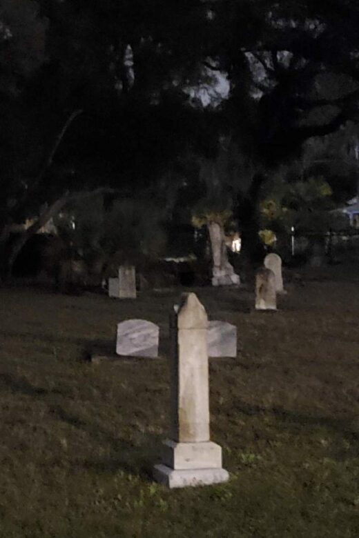 Palmetto: Ghost and Haunted History Tour - Who Should Consider This Tour?