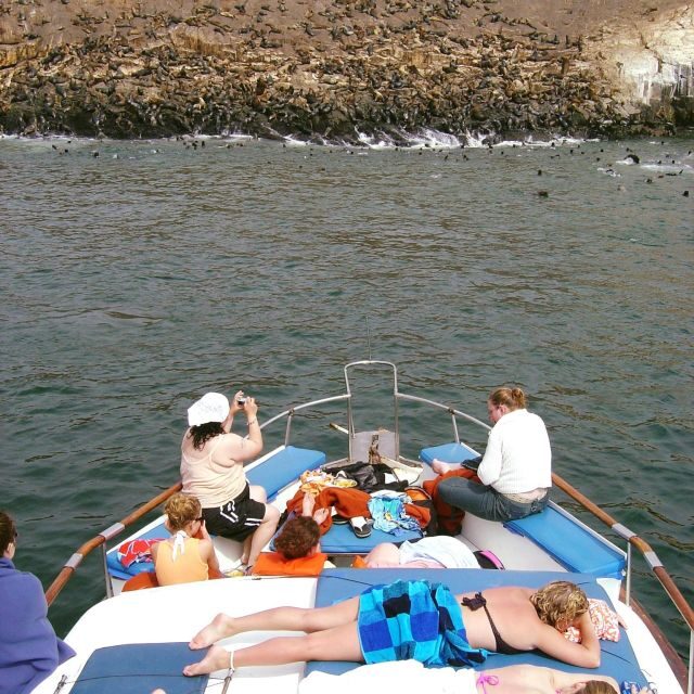 Palomino Islands Yacht Tour and swim alongside the sea lions - Key Points