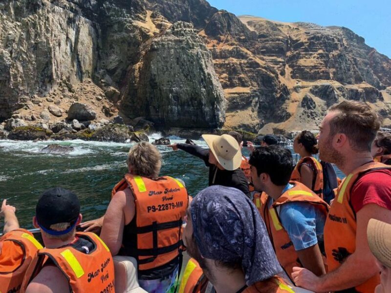 Palomino Islands Yacht Tour and swim alongside the sea lions - Who Should Consider This Experience