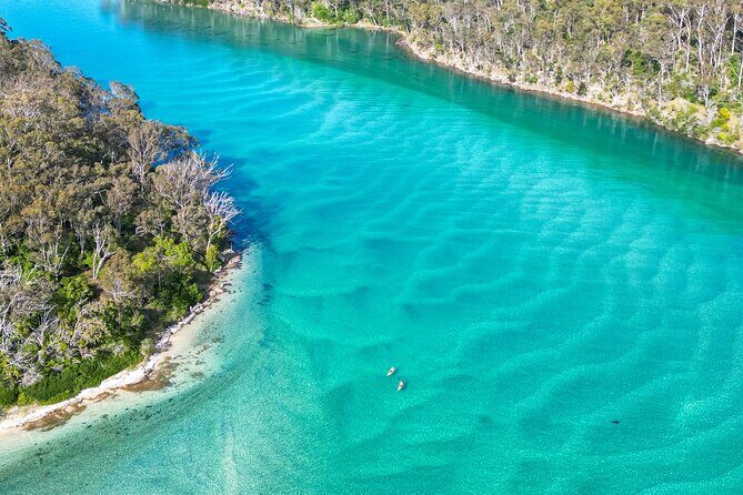 Pambula River Kayaking Tour - An In-Depth Look at the Pambula River Kayaking Experience