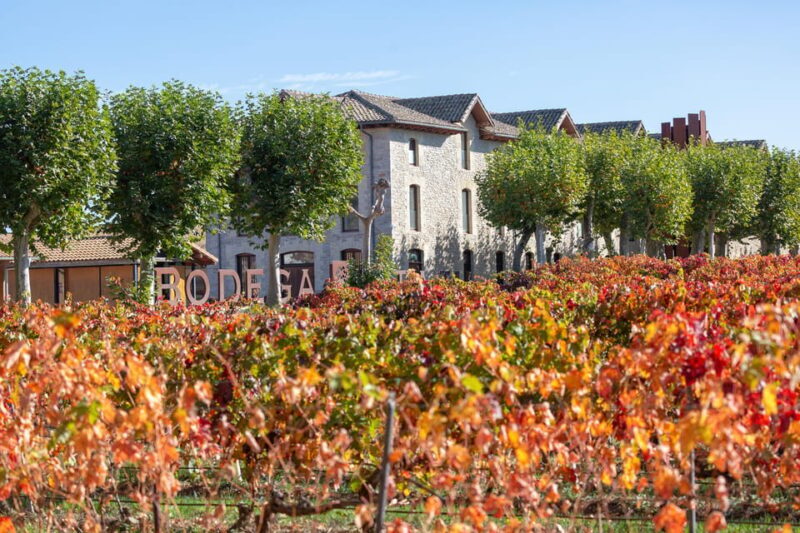 Pamplona: Bodegas Otazu - FAQ