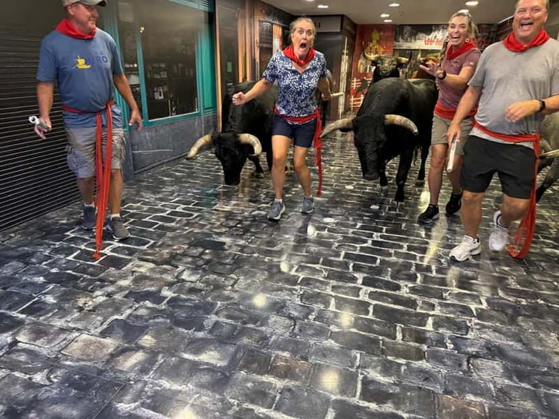 Pamplona: Walking Tour and Photo Session with Bulls - A Step Inside the Tour: What You Can Expect