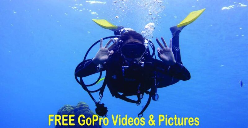 Panama City Beach: Beginners Scuba Diving Tour - Why Choose This Tour? An Honest Look
