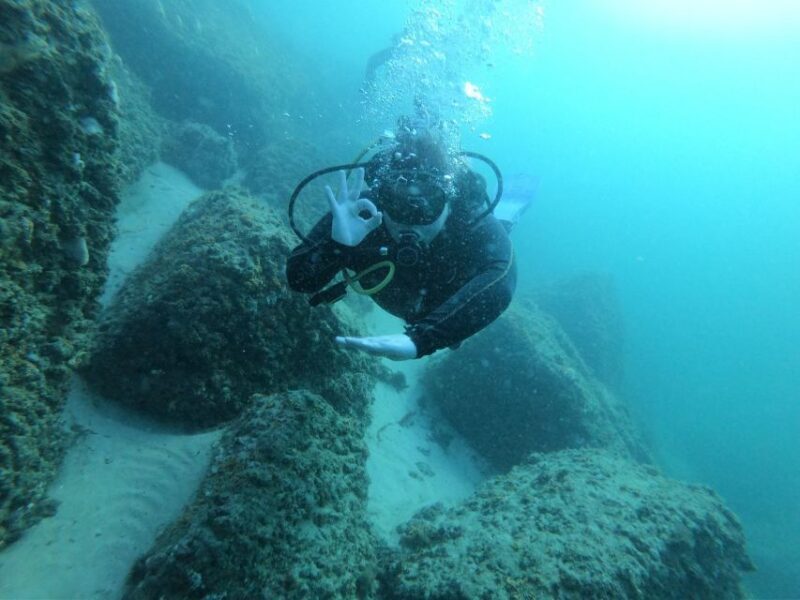 Panama City Beach: Beginners Scuba Diving Tour - The Sum Up: Who Will Love This Tour?