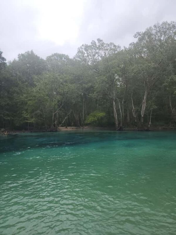 Panama City Beach: Cypress Springs Clear Kayak & Paddle Tour - Discovering Cypress Springs: An Eco-Adventure for All