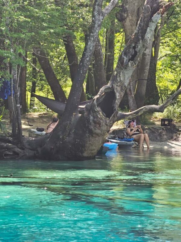 Panama City Beach: Cypress Springs Clear Kayak & Paddle Tour - The Value of a Guided Eco-Adventure