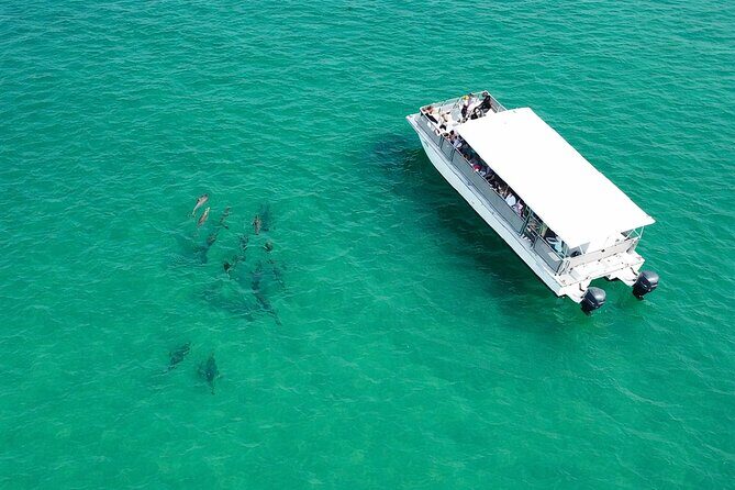 Panama City Beach Dolphin Cruise - An In-Depth Look at the Tour Experience