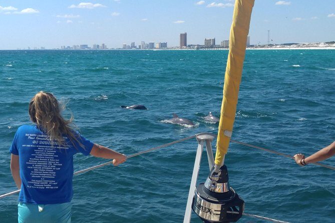 Panama City Beach Dolphin Sightseeing Sail - Panama City Beach Dolphin Sightseeing Sail: An Authentic Water Adventure
