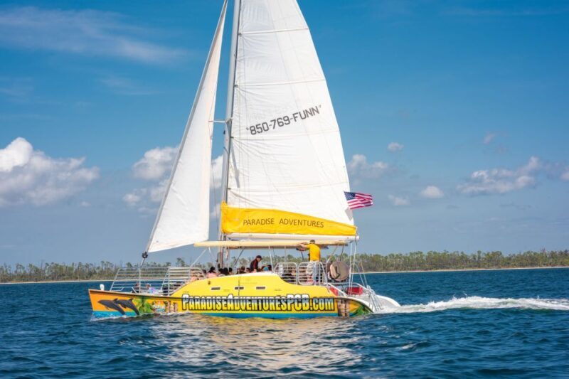 Panama City Beach: Dolphin Sightseeing Sail on the Footloose - What the Reviews Say