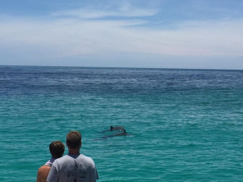 Panama City Beach: Dolphin Sightseeing Sail on the Footloose - Who Should Consider This Tour?