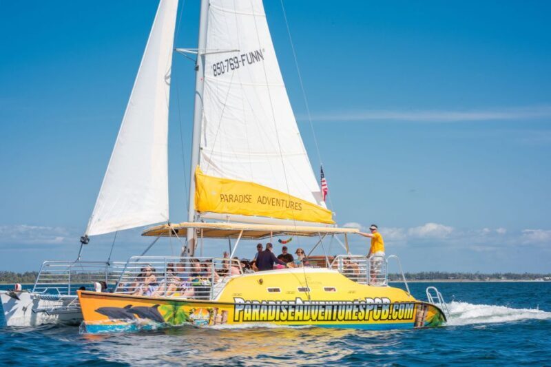 Panama City Beach: Dolphin Sightseeing Trip by Catamaran - Key Points