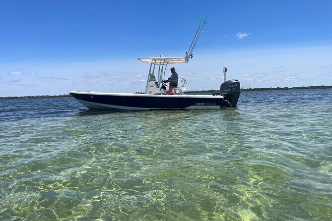 Panama City Beach Florida, Dolphin, Shell Island and Eco Tours - Key Points