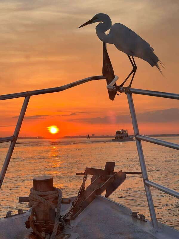 Panama City Beach: Private Sunset Cruise - Practical Tips for Your Trip