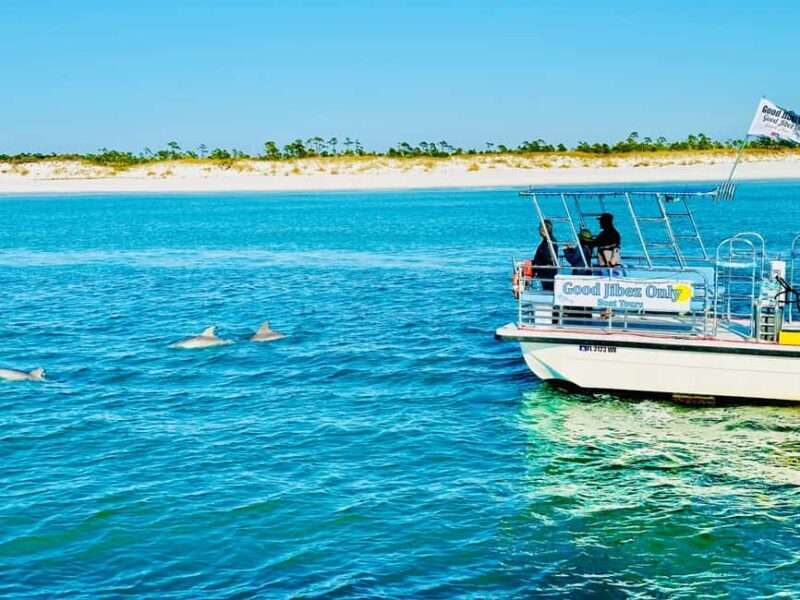 Panama City Beach: Snorkel Excursion with Good Jibez Only - Overview of the Experience