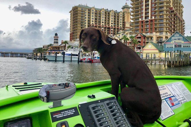 Panama City Beach's - Dolphin Sunset Cruise - Experience Overview: What to Expect on the Water