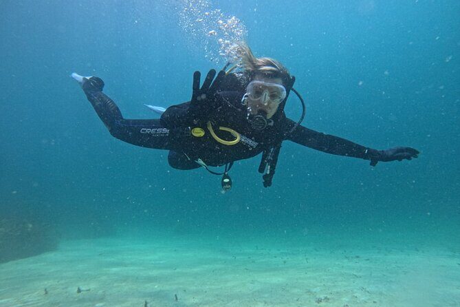 Panama City Scuba Diving Activity for Beginners - What the Tour Looks Like
