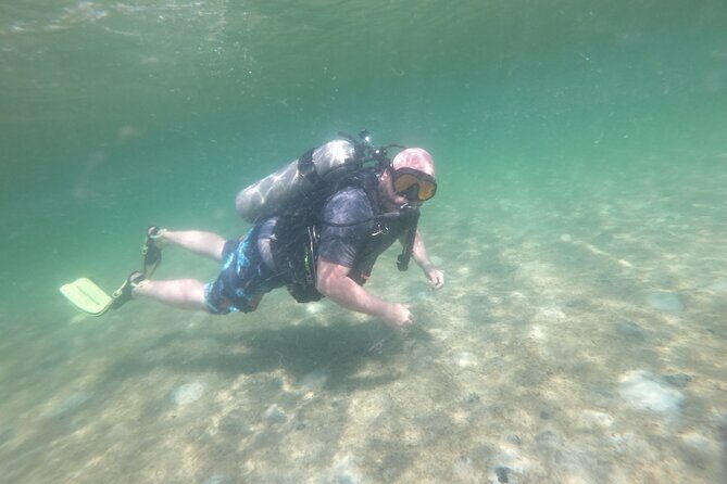 Panama City Scuba Diving Activity for Beginners - Price and Value
