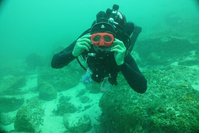 Panama City Scuba Diving Activity for Beginners - Who Is This Experience Perfect For?