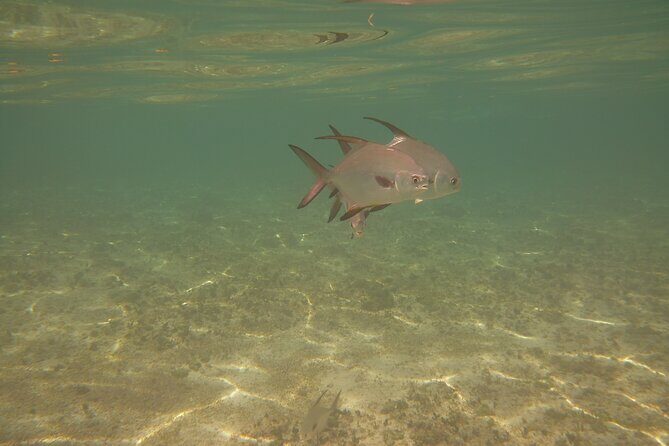 Panama City Scuba Diving Activity for Beginners - Final Thoughts