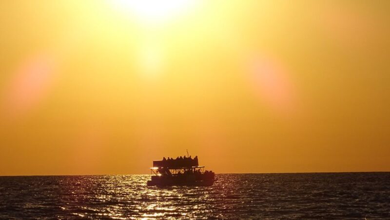 Panama City: Sunset Dolphin Cruise in St. Andrews Bay - An In-Depth Look at the Sunset Dolphin Cruise Experience
