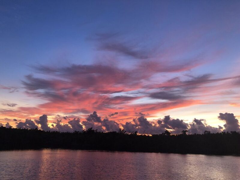 Panama City: Sunset Dolphin Cruise in St. Andrews Bay - Final Thoughts: Is It Worth It?