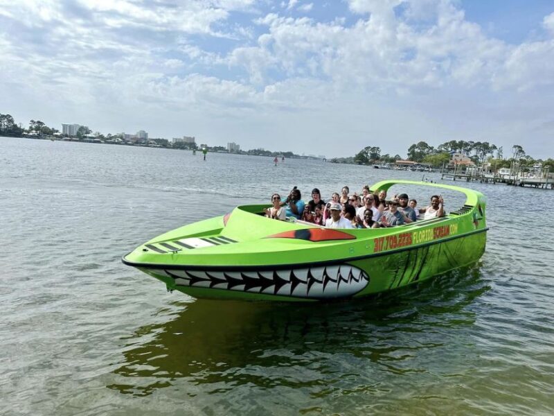 Panama City: Sunset Tour with Dolphin Watching - What The Reviews Say