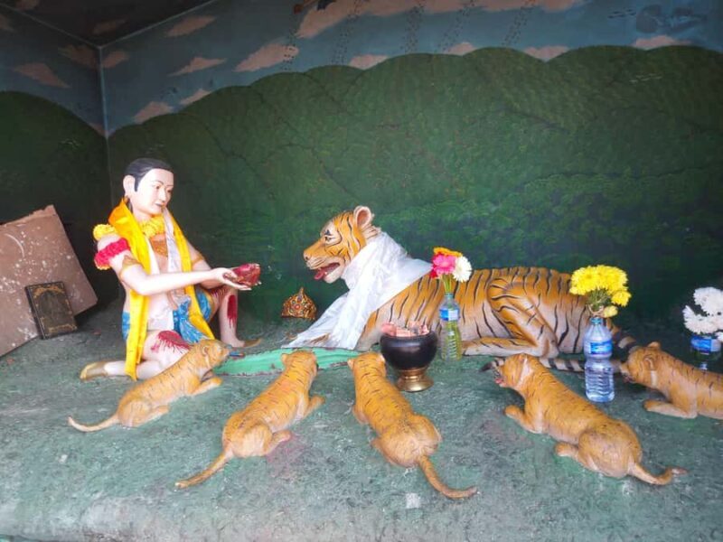 Panauti, Namo Buddha & Sanga Full-Day Tour - Practical Details and What to Expect