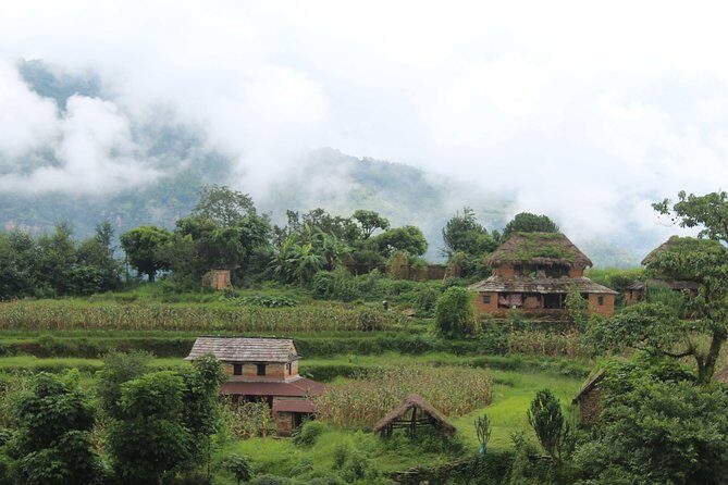 Panchase Village Hiking with stunning Annapurna Mountain View - Who Should Consider This Tour?