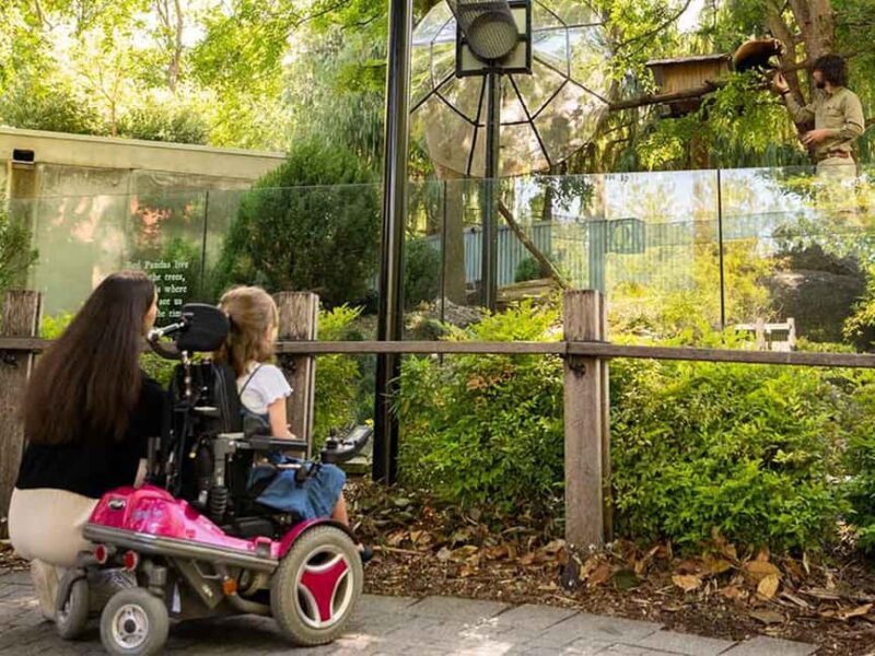Panda & Friends Tour and a Day at Adelaide Zoo - The Experience at a Glance