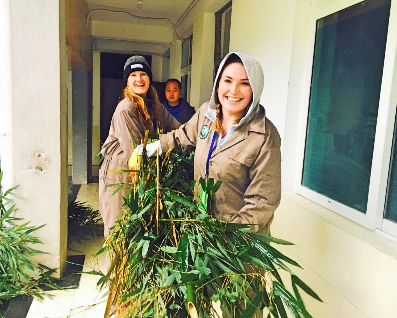 Panda Volunteer Project Day Trip(Wolong/Du Jiang Yan) - Key Points