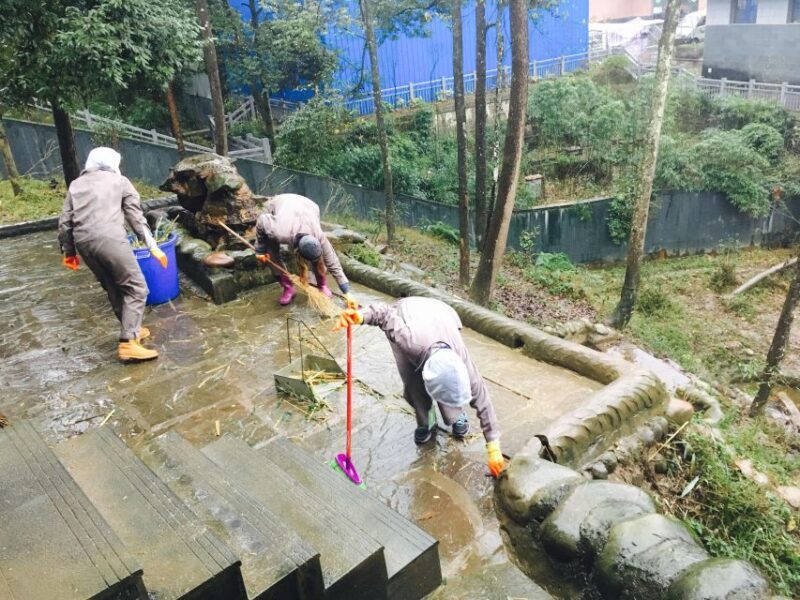 Panda Volunteer Project Day Trip(Wolong/Du Jiang Yan) - A Closer Look at the Panda Volunteer Day Trip