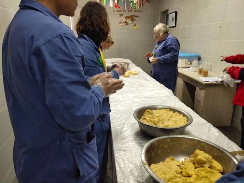 Panda Volunteer Project Day Trip(Wolong/Du Jiang Yan) - FAQs