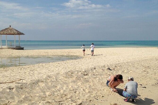 Pandanon Private Island Tour - The Itinerary Breakdown: What You Can Expect