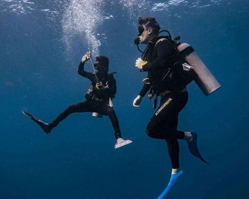 Panglao Bohol: Try Scuba Diving at Napaling and Sardines - What Is Included and What’s Not?