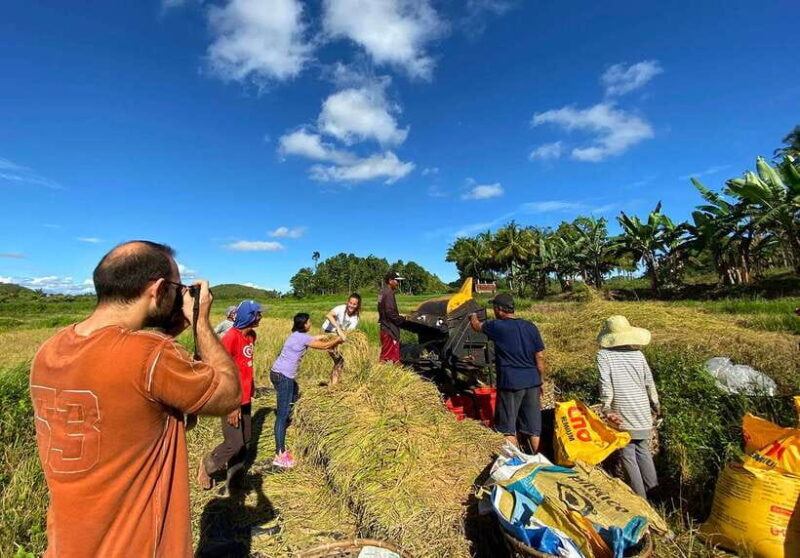 Panglao: Dao, Forests, and Tarsier Sanctuary Tour with Lunch - Practical Details and Value