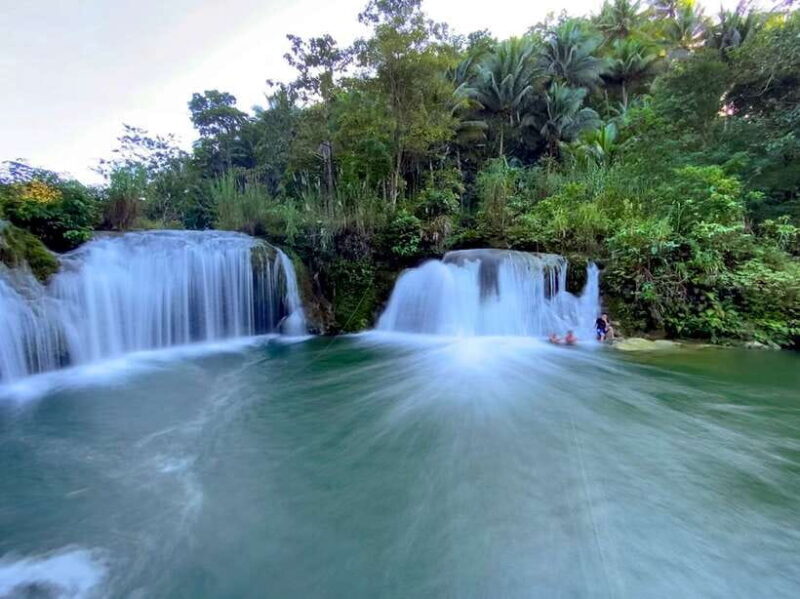 Panglao: Dao, Forests, and Tarsier Sanctuary Tour with Lunch - Final Thoughts: Who It’s Best For
