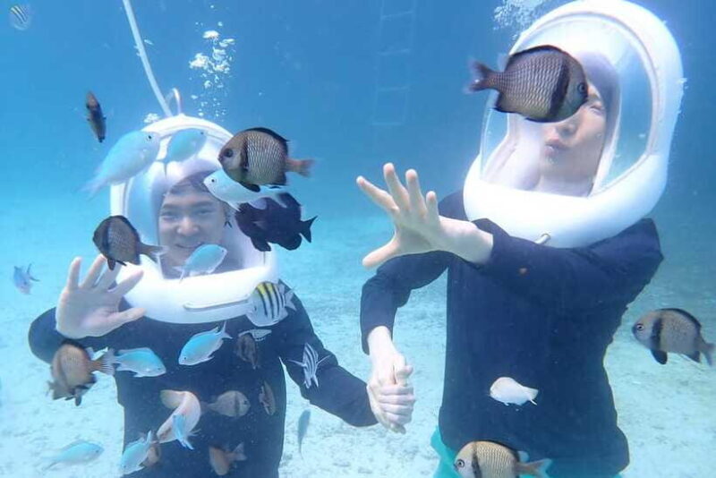 Panglao: Helmet Diving Experience with Photos and Videos - Final Thoughts