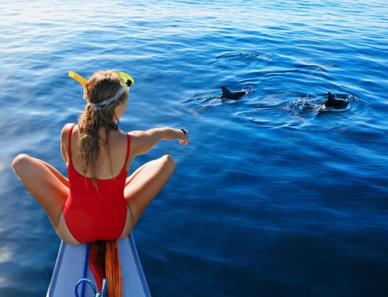 Panglao: Island Hopping w/Balicasag (Shared) - Final Thoughts: Who Will Love This Tour?