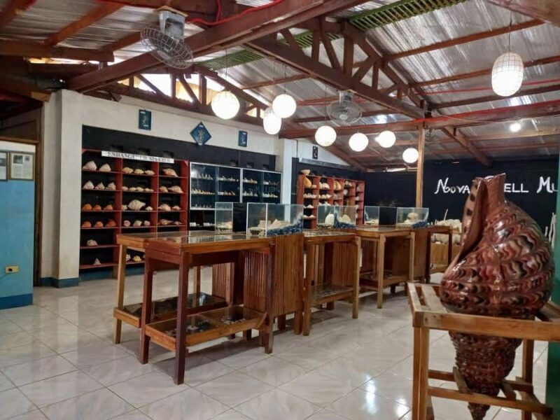 Panglao Land Tour: Private Half-Day Tour with Hotel Pickup - Final Thoughts