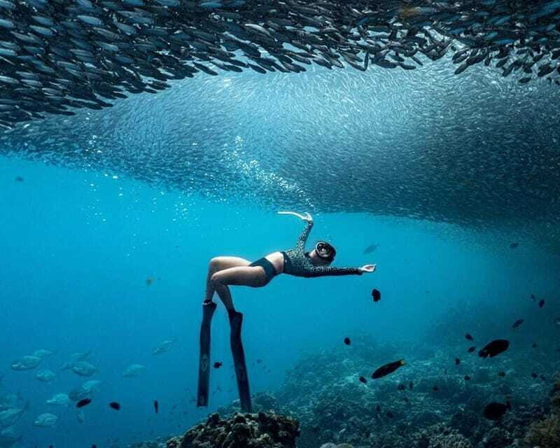 Panglao: Napaling Reef and Sardines Freediving Experience - Authentic Reviews and Real Experiences