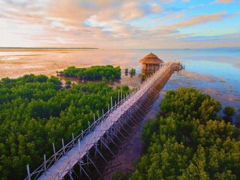 Panglao: Private Cave Pool, Beach & Scenic Day Tour - An Unhurried Journey Through Panglao’s Hidden Gems