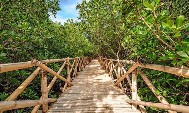 Panglao: Private Cave Pool, Beach & Scenic Day Tour - Final Thoughts: Is It Worth It?