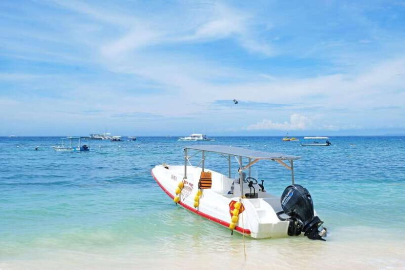 Panglao: Solo or Tandem Parasailing Experience near Alona - Key Points