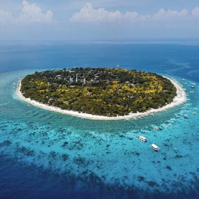 Panglao:Balicasag Island Tour with Turtle & Dolphin Watching - An In-Depth Look at the Tour Experience