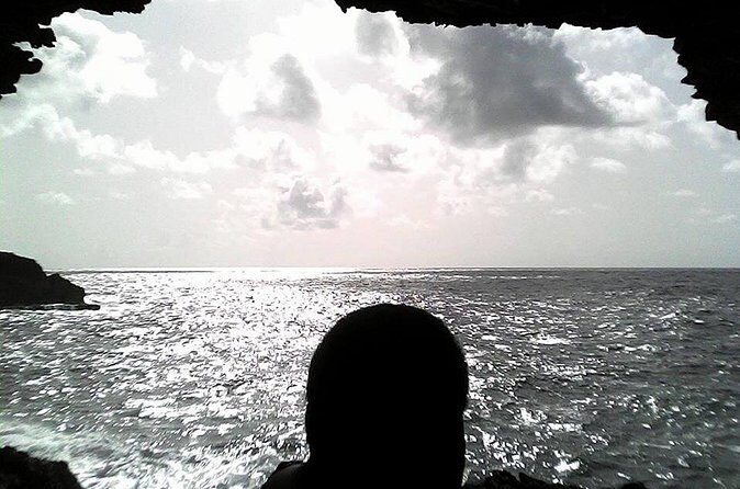 Panoramic Coastal Barbados Tour - Who Will Love This Tour?