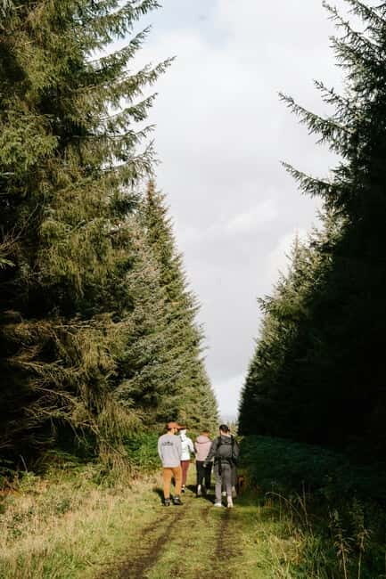 Panoramic hiking in the Florentine hills with Vincenzo - Key Points