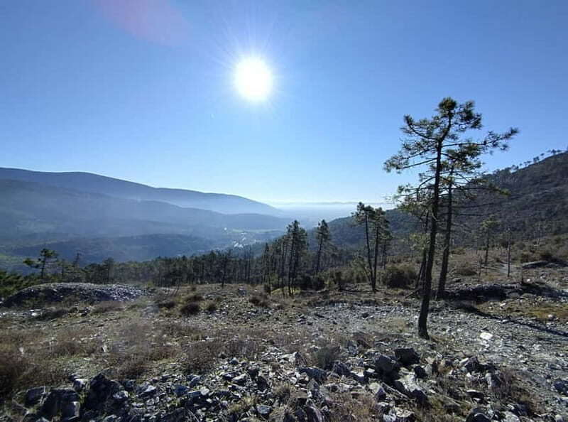 Panoramic hiking in the Florentine hills with Vincenzo - Who Will Love This Tour?